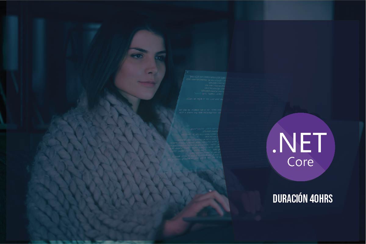 Desarrollo de aplicaciones web ASP.NET Core | Applica.site